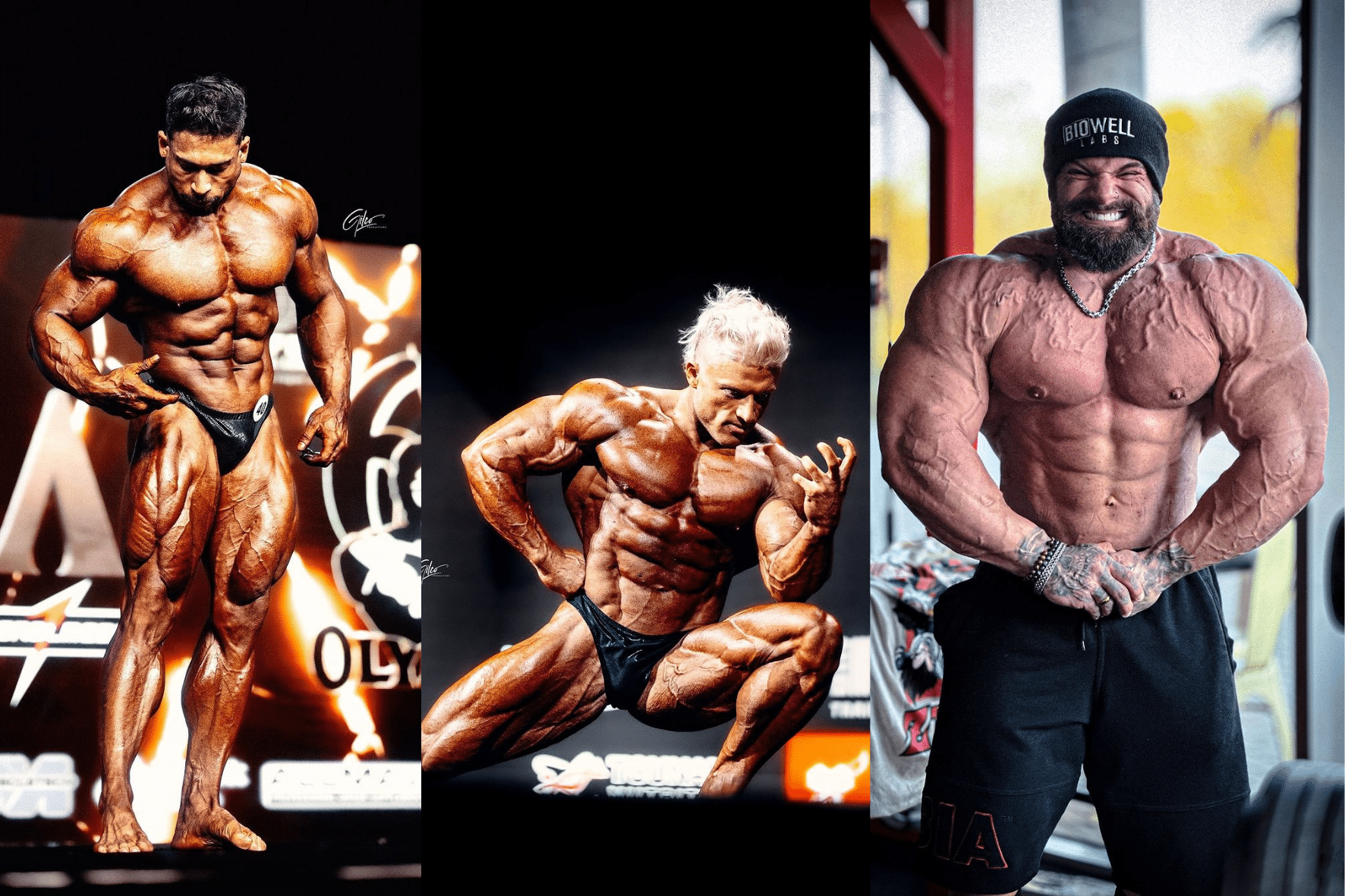 Luta de gigantes! Ramon Dino, Urs e Sommerfeld atualizam shape e sobem ...